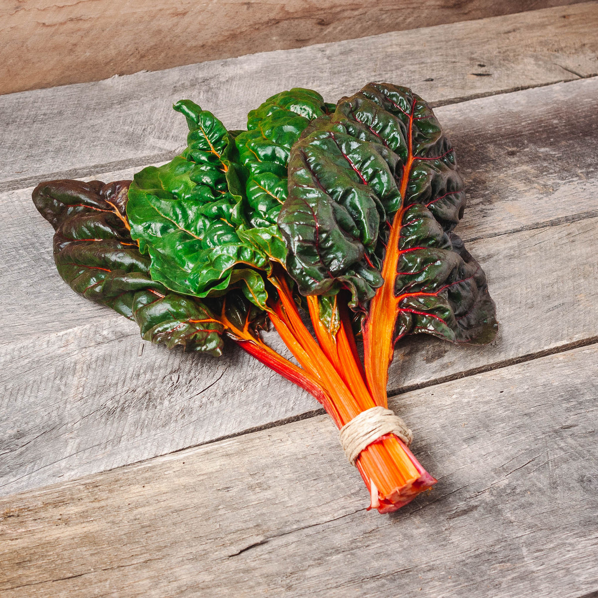 Rainbow Swiss Chard (Bunch) – Rose Creek Farms