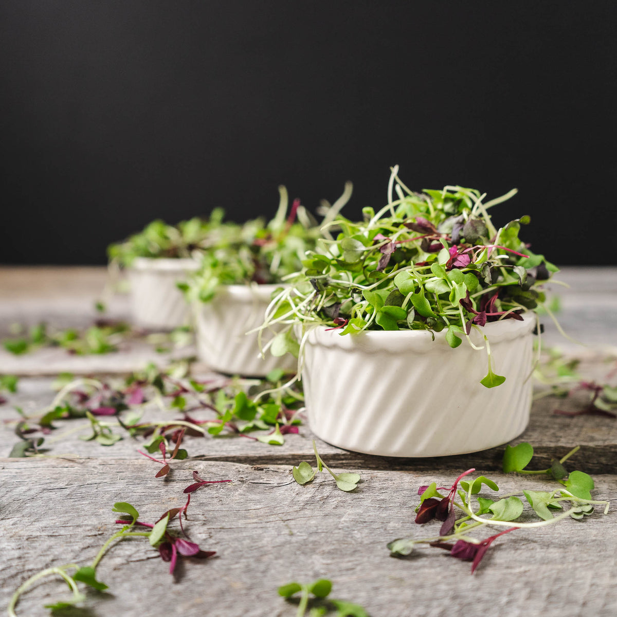 Micro Zesty Mix – Rose Creek Farms